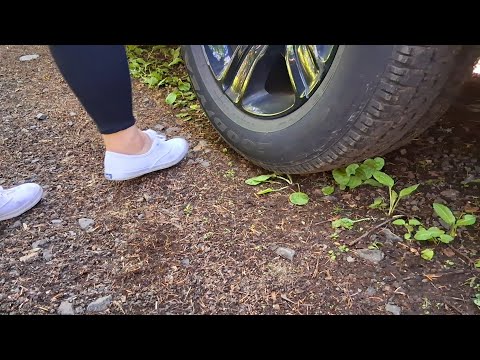 Ultimate Keds Tire Spins #spinning #tires #ladies