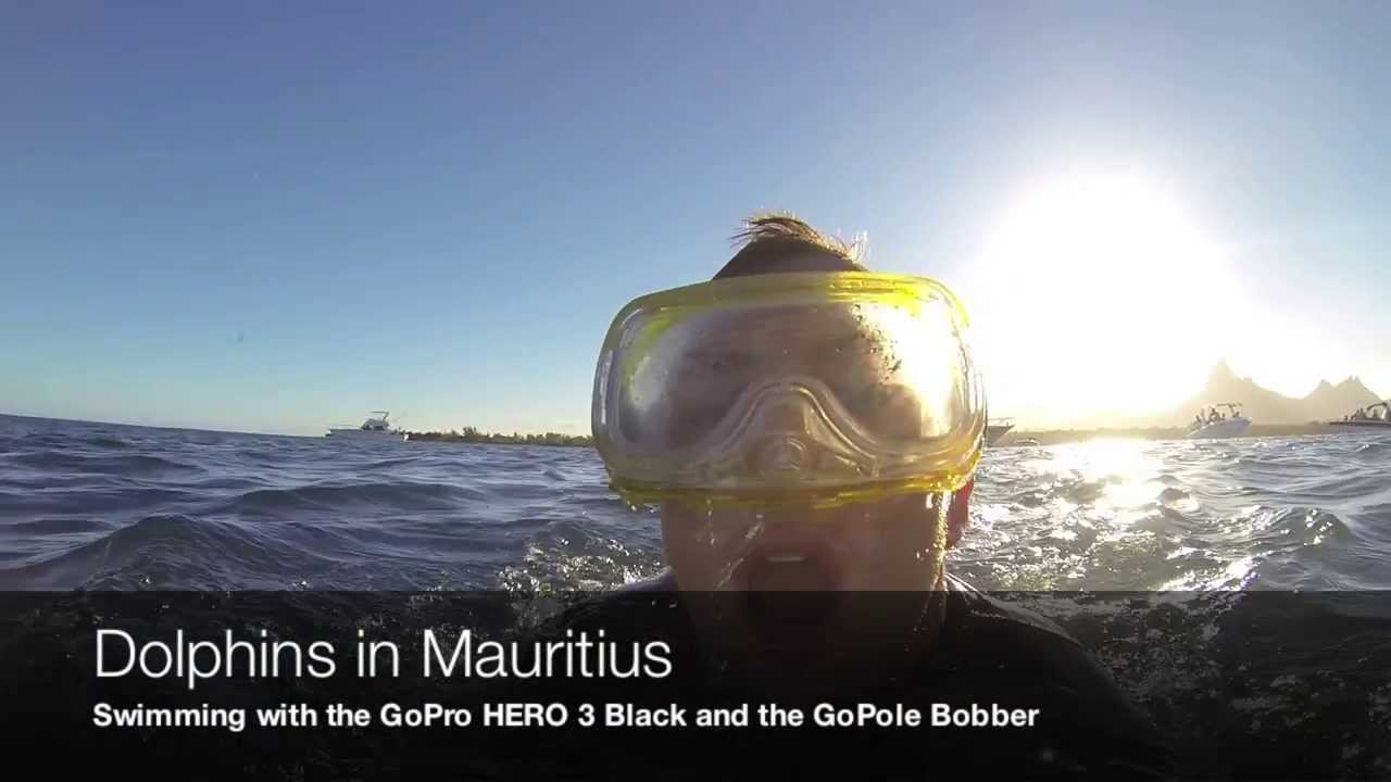 GoPro HERO 3 Video of Dolphins - YouTube