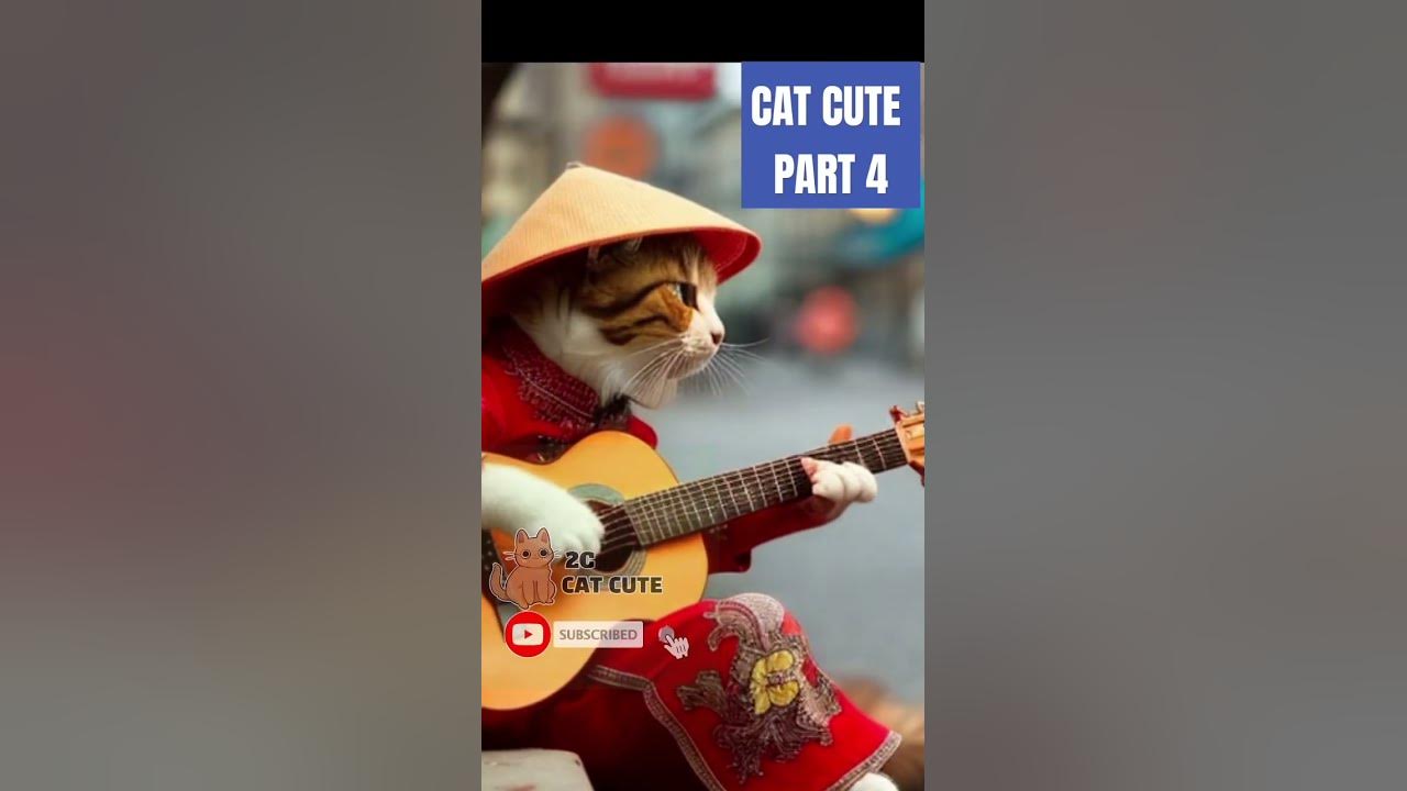 CAT CUTE 2C PART 4 #cat #catcute #catlover #catshorts #catvideos # ...