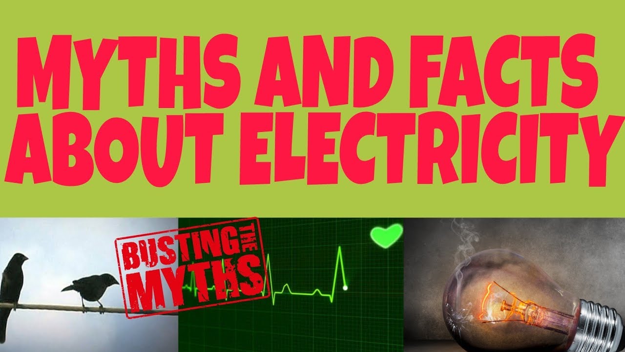 MYTHS AND FACT ABOUT ELECTRICITY, WHY BIRDS DON'T GET SHOCK,WHAT DOES ...