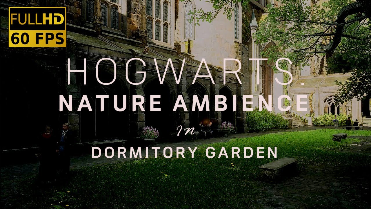 Nature Ambience in Hogwarts Dormitory Garden • Relaxed sound in ...