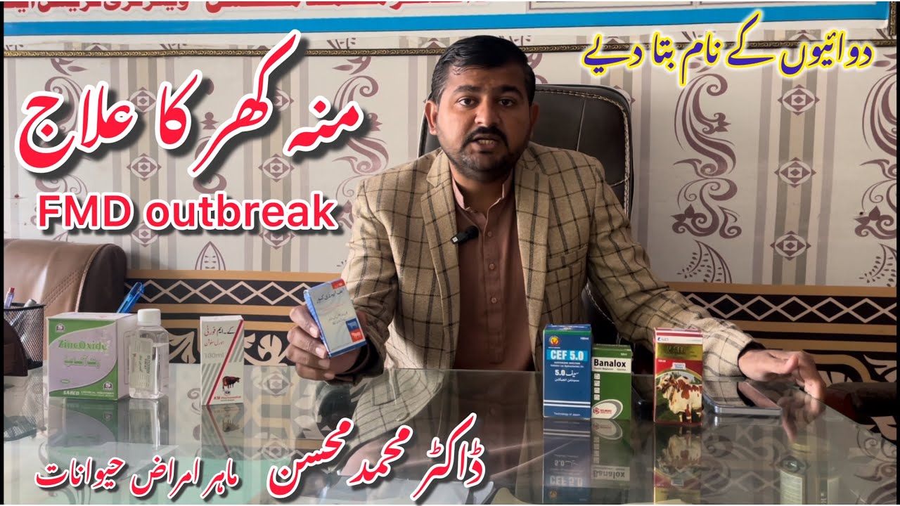 FMD Treatment | Dr Mohsin - YouTube