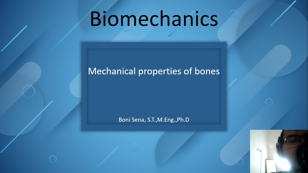 Mechanical properties of bones (Sifat mekanik dari tulang) - YouTube Mechanical properties of bones (Sifat mekanik dari tulang) - YouTube