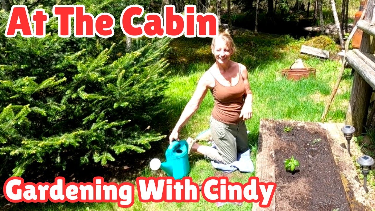 Gardening Time With Cindy at the Off Grid Cabin - YouTube