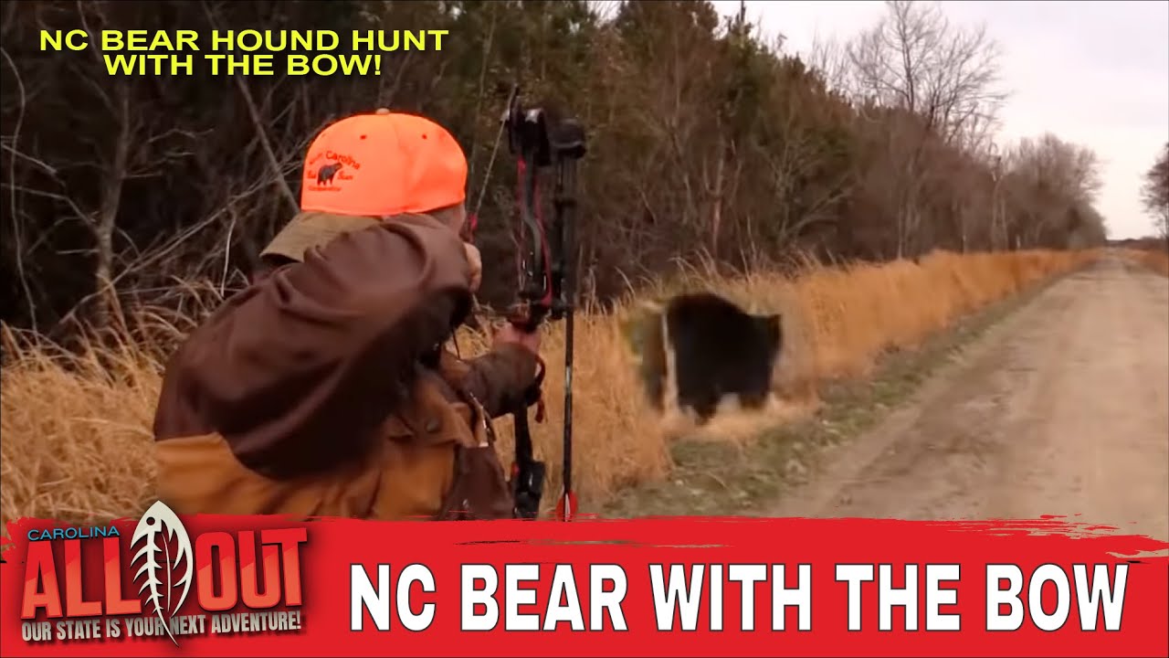 NC Bear with Bow and Arrow! | Carolina ALL OUT S-1 Ep/11 - YouTube