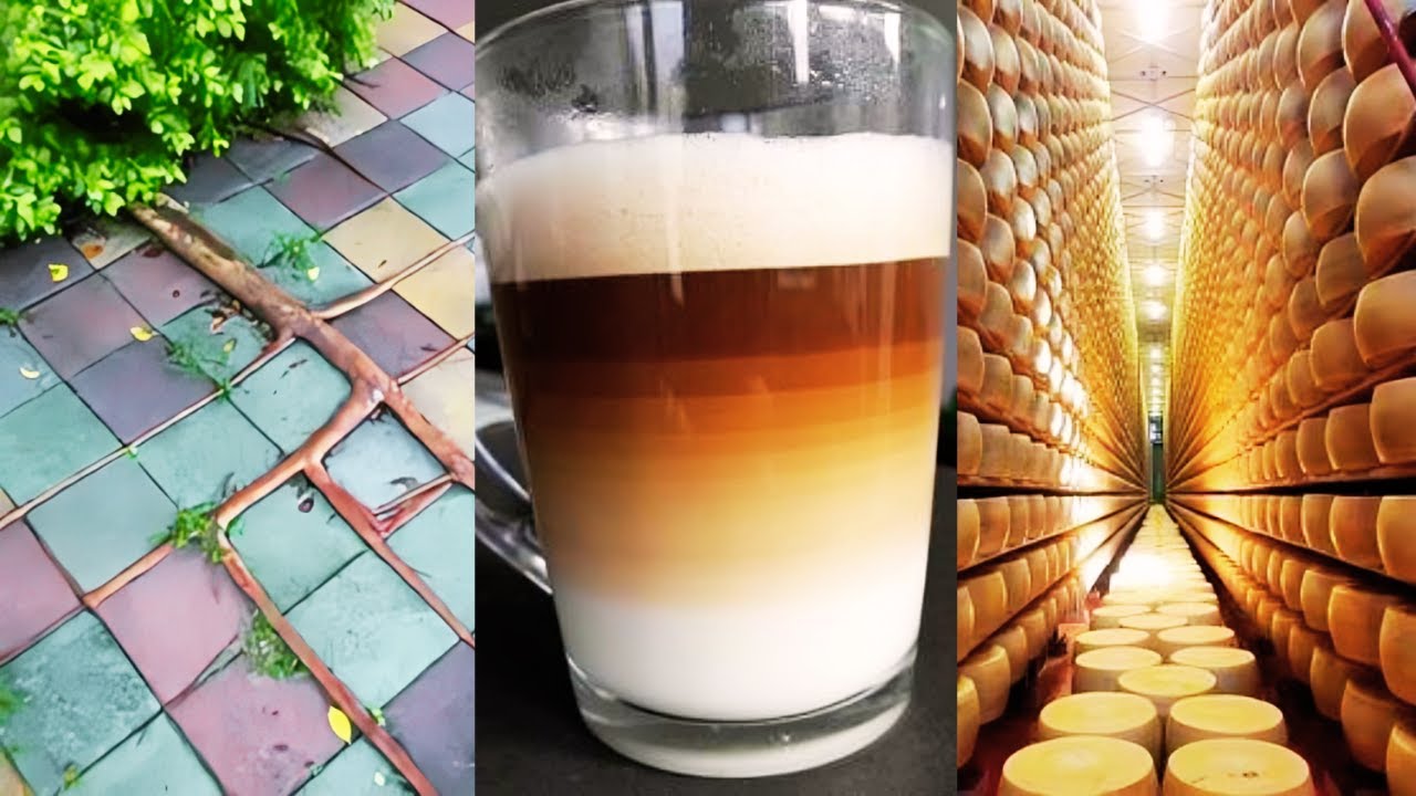 The Best Satisfying Moments: Guaranteed Relaxation in 10 Minutes! - YouTube