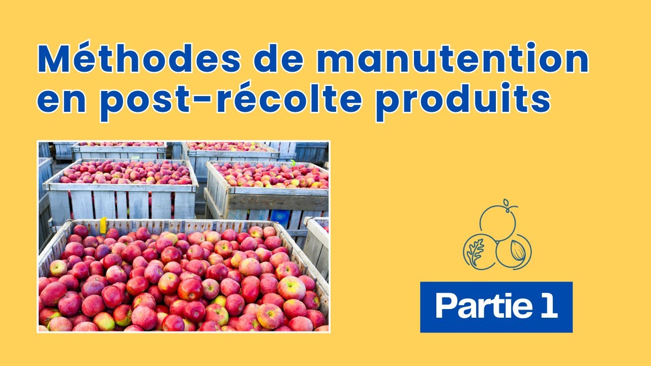 Méthodes de manutention en post-récolte produits horticole | Partie 1 ...