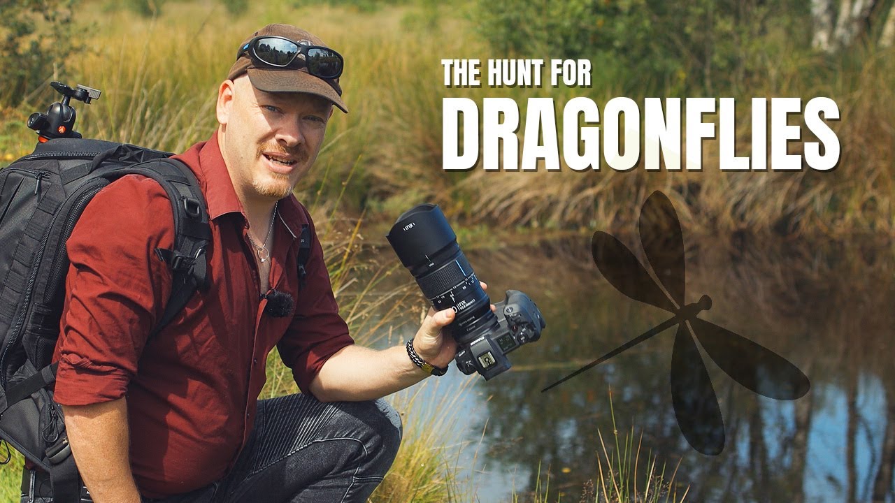 The Hunt for Dragonflies | A Macro Photography Walk - YouTube