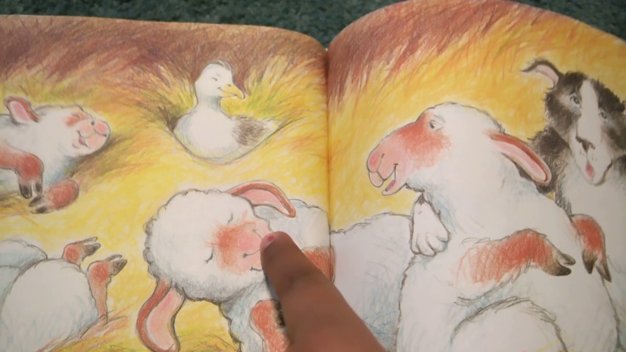 Sheep Go To Sleep - Book - YouTube