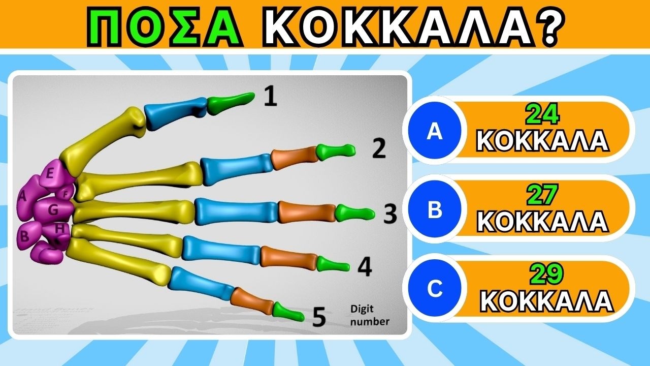 Quiz Για Το Ανθρωπινο Σωμα ! 25 Ερωτησεις. Μαντεψε Την Σωστη Απαντηση ...