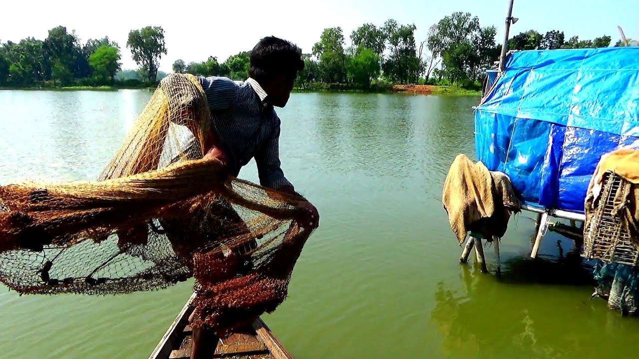 Net Fishing on Boat।Fishing with Cast Net। Net Fishing in the Village ...
