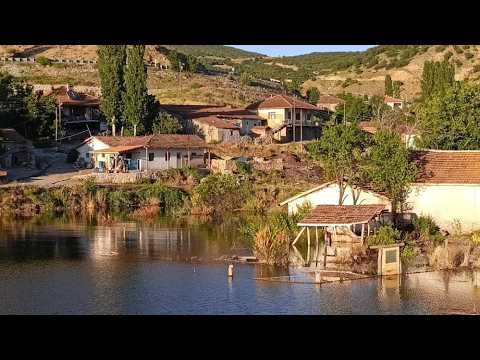 Yozgat'ta baraj taştı, köyü yılanlar bastı: Her gün yılan anonsu yapılıyor