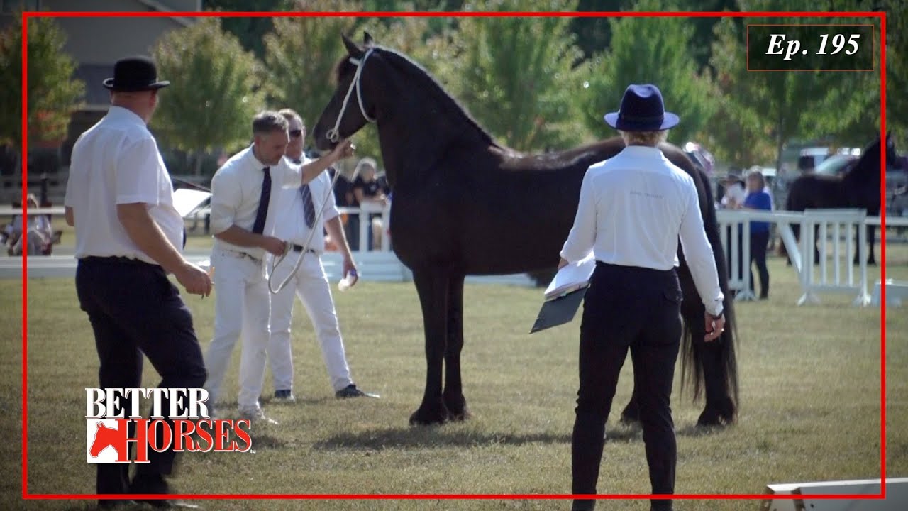 Better Horses Episode #195. Signature Friesian Farm with Jolanda Slootjes. Dr. Clint Rusk with ...