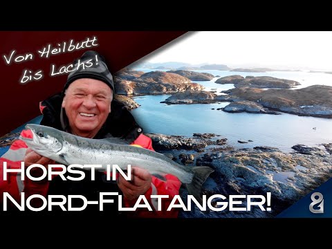 Mit Horst Hennings auf Heilbutt und Lachs! Vielfalt in Nord-Flatanger!