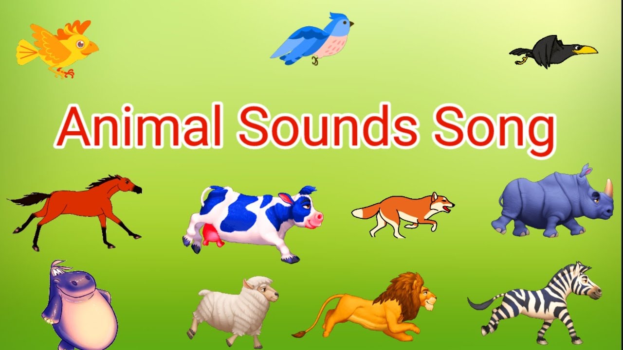 Animal Sounds Song for Kids | Learn Farm, Bird & Wild Animal Sounds ...
