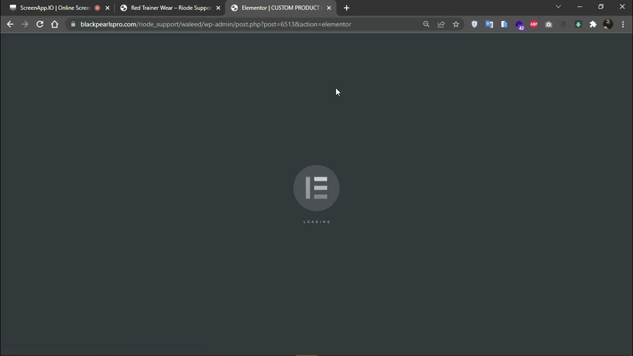 Riode WordPress (How to create Single Product Page Layout using Template Builder - Riode ...