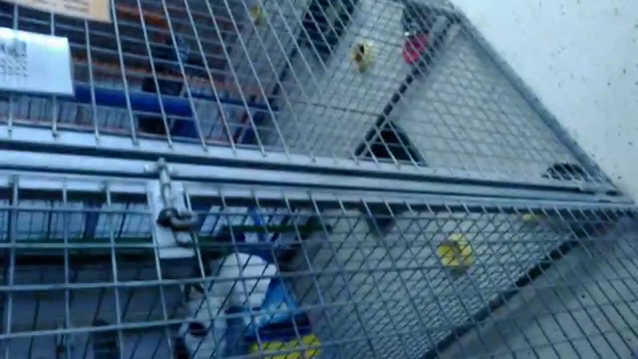 Julies Boarding Bastardization-Cattery Isolation Wing Or Sick Bay Used ...