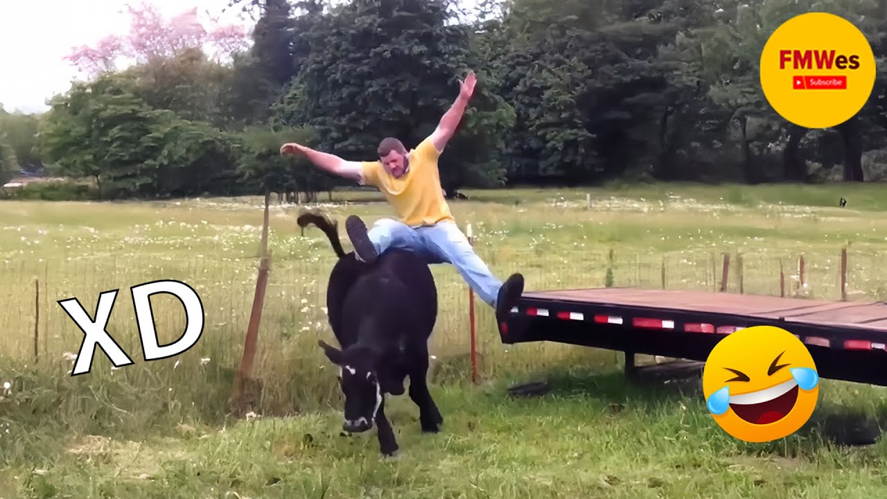 SI TE RÍES PIERDES NIVEL DIOS #277 🤣 VIDEOS DE RISA 😎UNA HORA DE MOMENTOS😆 - YouTube