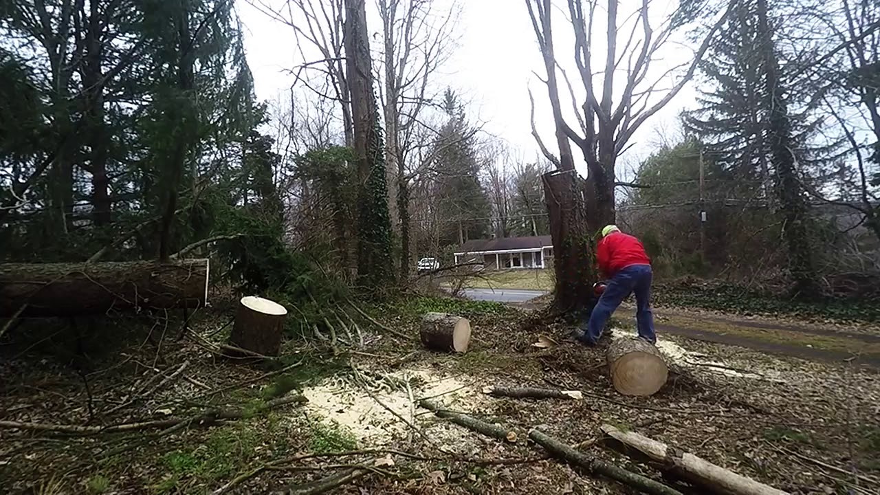 Re Felling - YouTube