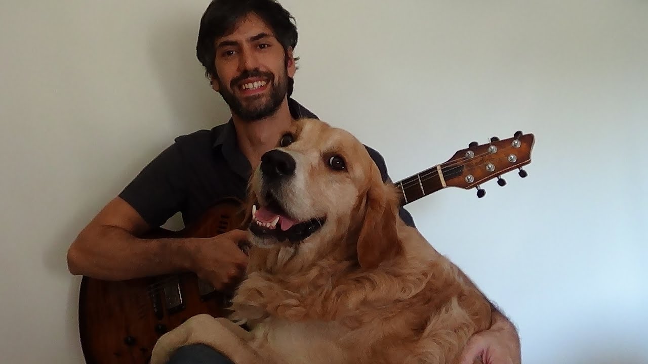 FOR DOLLARO - My special Dog (Godin flat five x) - YouTube