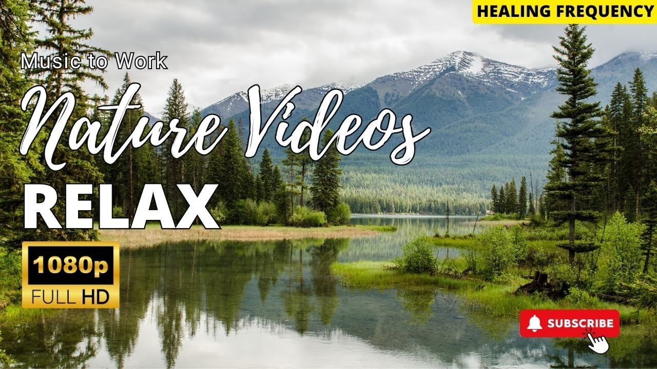 Nature Relaxation Film | Relaxing Music | Nature Bird Sounds, Study ...