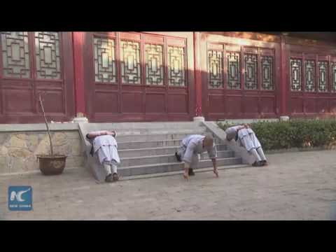 Shaolin Kung Fu: Unification of Zen and martial arts