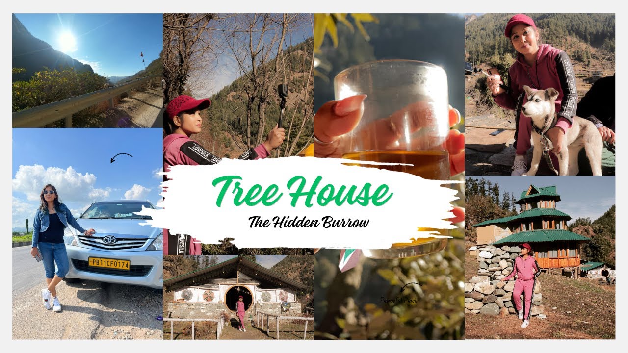 Treehouse in Jibhi | Cost | Location | Contact | Jibhi Himachal Pradesh ...