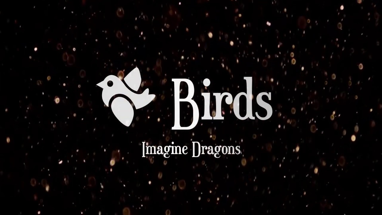 Birds - Lyrics | Imagine Dragons x Elise | Meowsic - YouTube
