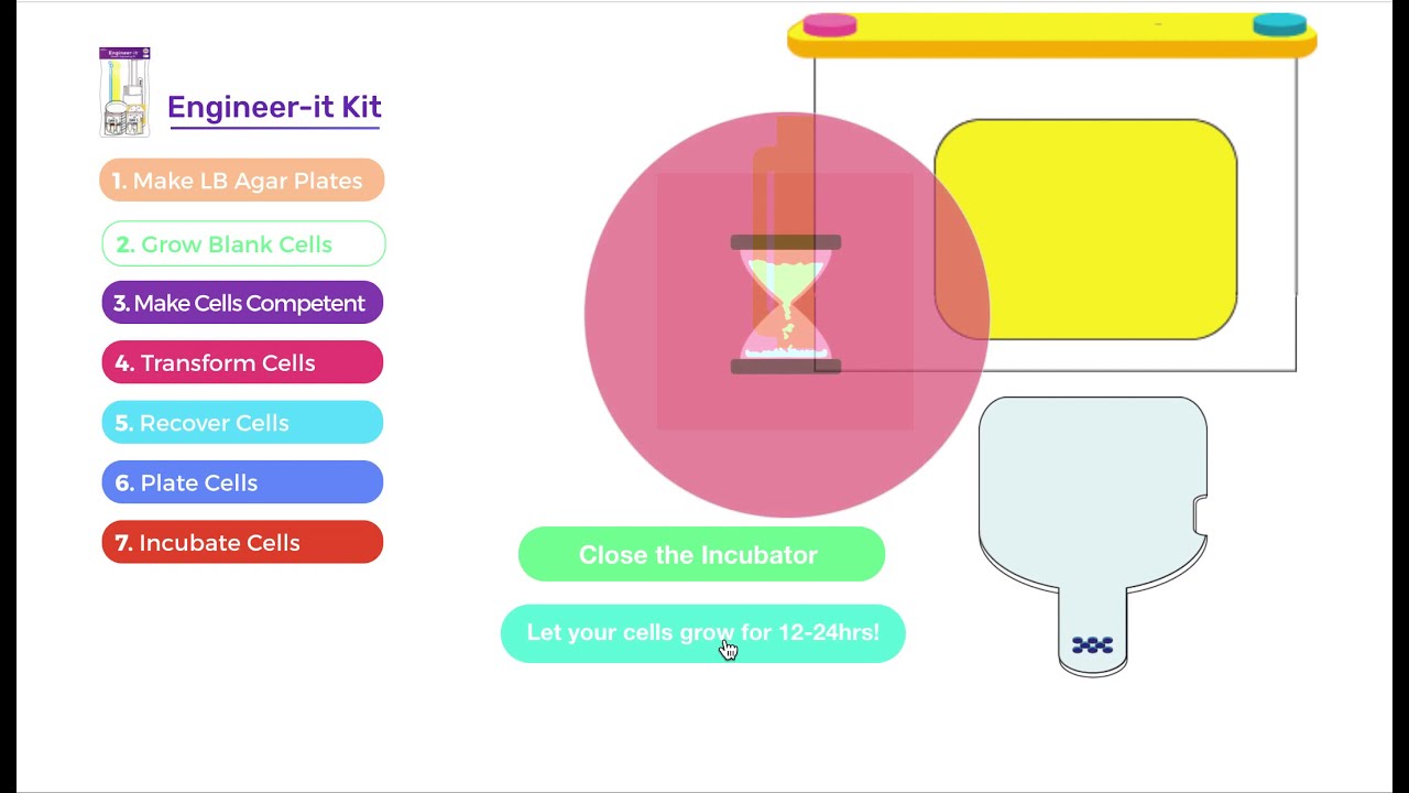 Genetic Engineering Engineer-it kit simulator v.2.0 walkthrough: Learn ...