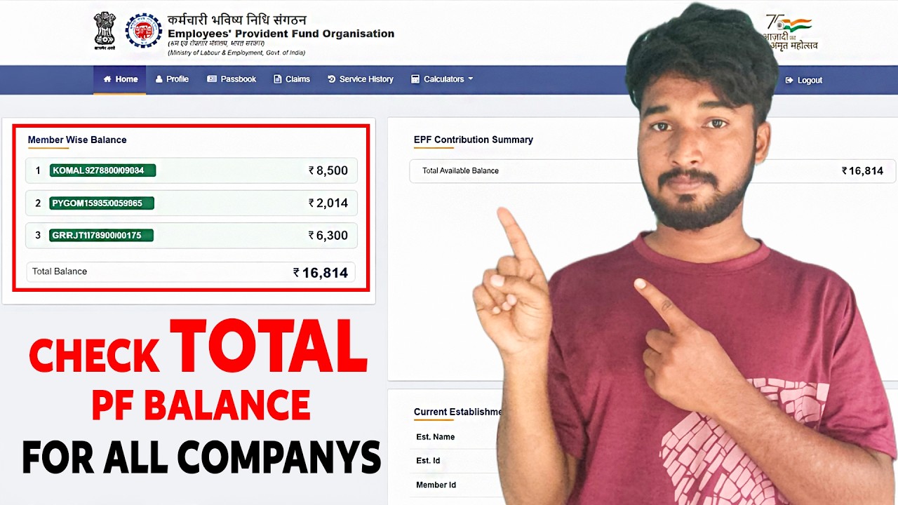 How to Check PF Total Balance from All Previous Companies in 2026 - YouTube