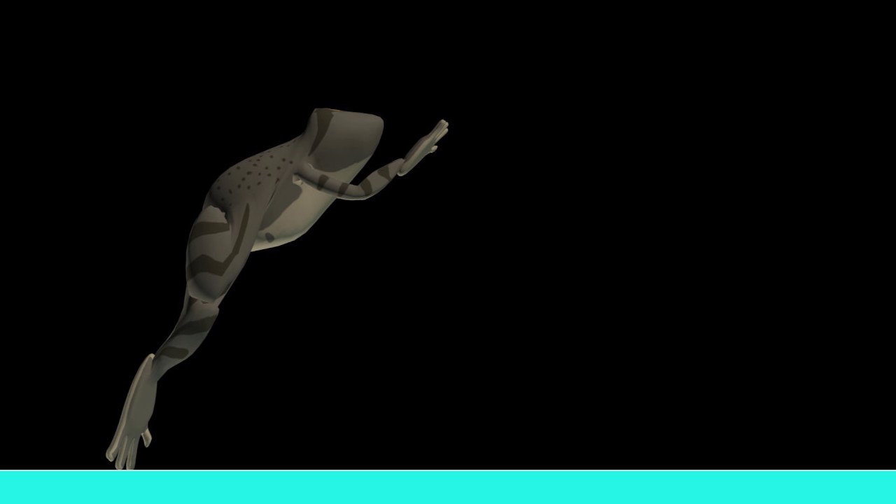frog hop animation - YouTube