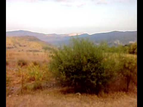 Altiagac Beyehmedyurd