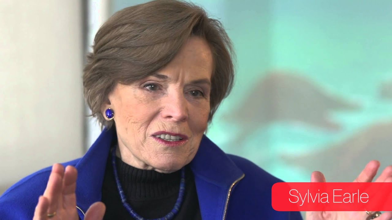 What is the TED Prize? - YouTube