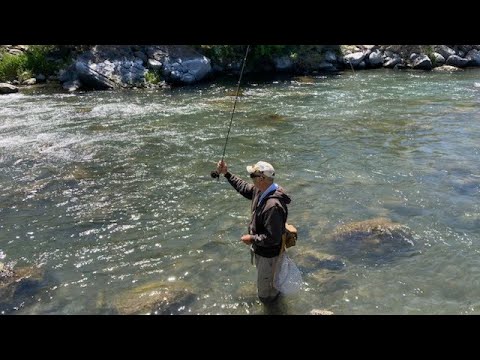 Nymphing 3 Spring Creeks on Opening Day, Drop Shot Nymphing at it's ...