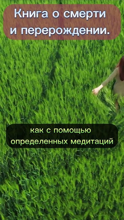 Книга о смерти и перерождении. - YouTube