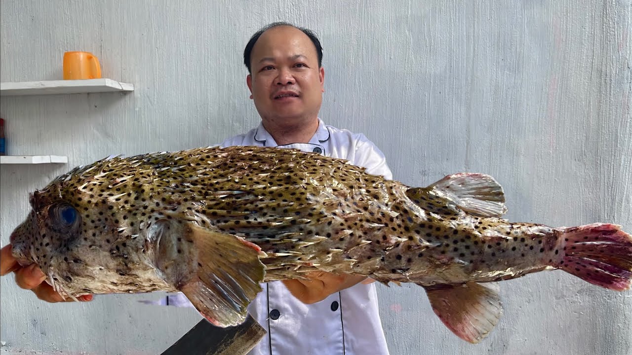 7kg porcupine puffer fish, 6-dish recipe for porcupine puffer fish in ...