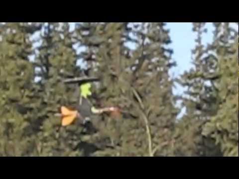 Flying Witch on Broomstick Sighted over Alaska - YouTube