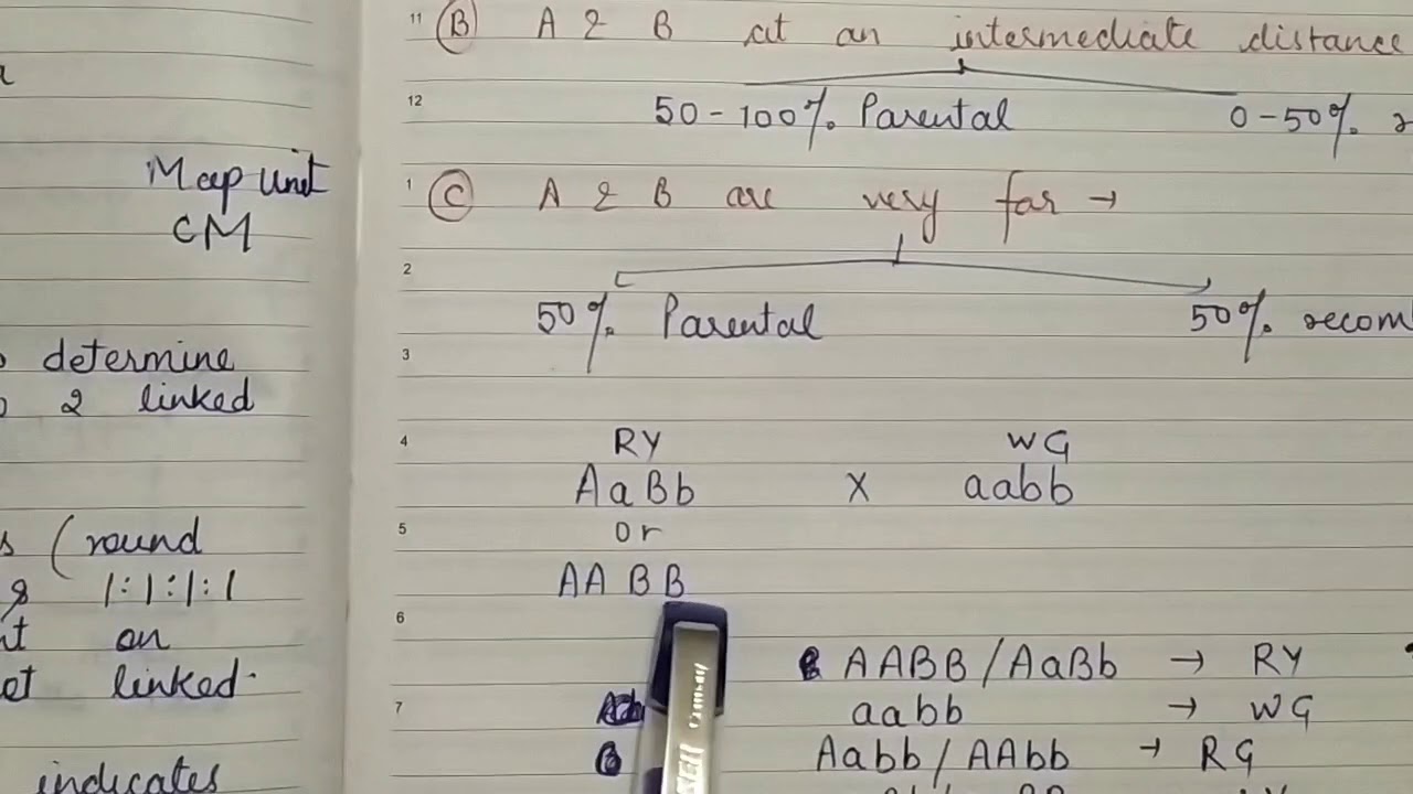 Two point test cross - YouTube