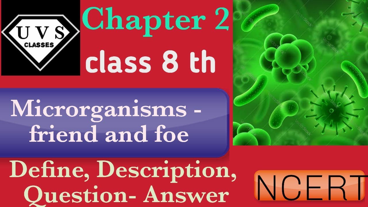 Chapter 2 Science Class 8th (Microorganisms friend or foe) NCERT - YouTube