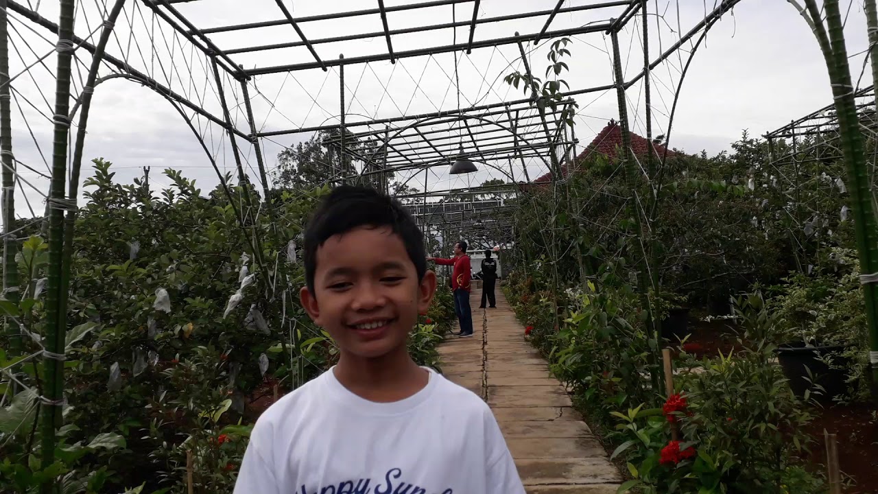 Mampir ke Agro Cepoko Kota Semarang - YouTube