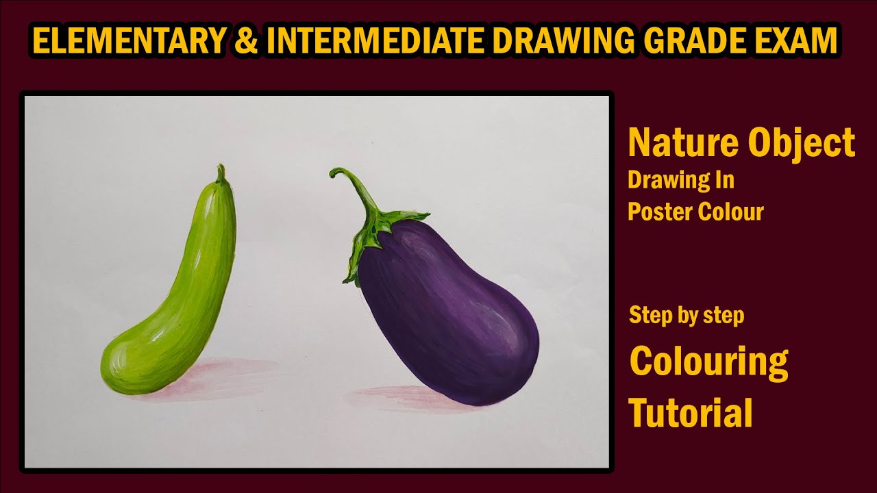 Bottle gourd drawing and colouring, Brinjal drawing with colour, Object ...