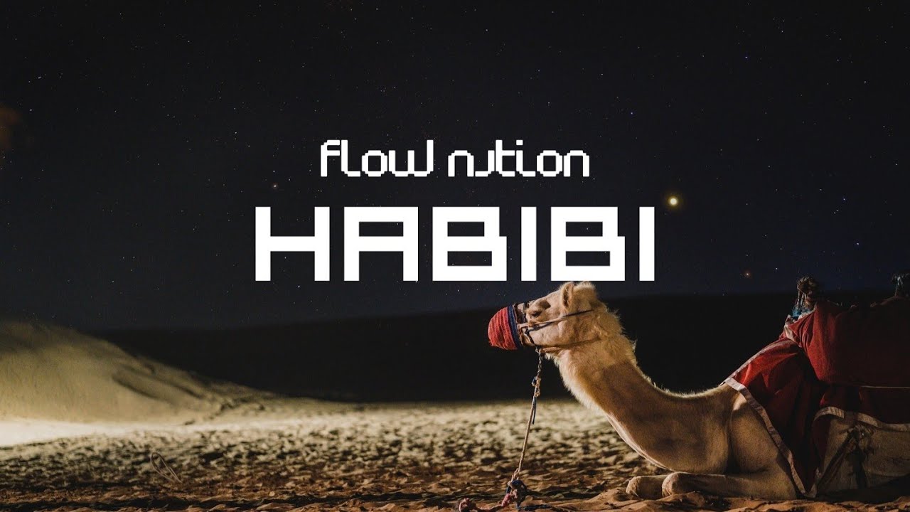 FLOW NATION HIPHOP-HABIBI (HipHop Musical) - YouTube