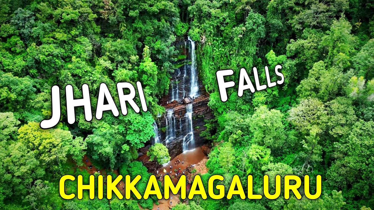 JHARI FALLS | BEST FALLS IN CHIKKAMAGALURU😍💚 | THE VEER SHORTS - YouTube
