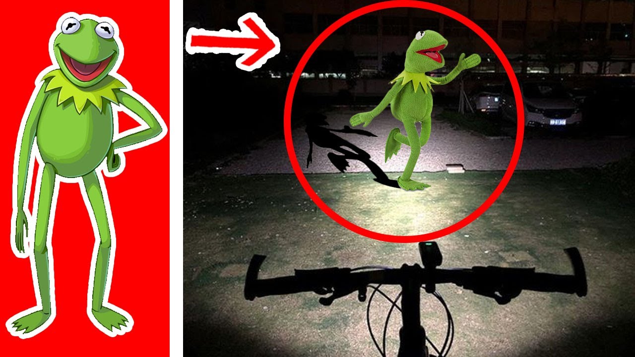 RANA RENE Captado en la Vida Real - YouTube