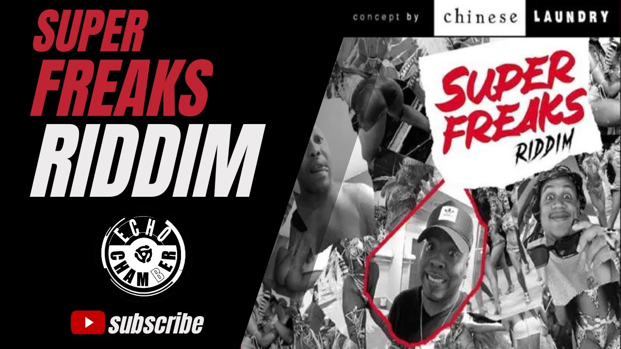 Super Freaks Riddim Mix! | Echo Chamber - YouTube