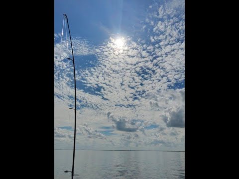 Summer fishing with Archie - YouTube