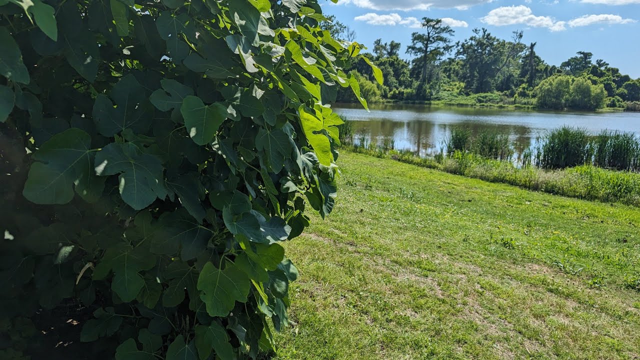 The definition of anti-Semitic by Google family - YouTube