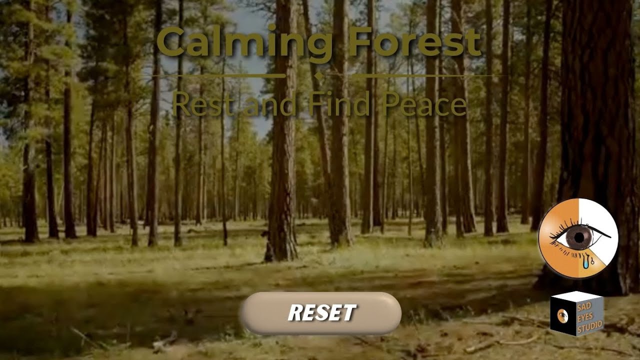 Calming Forest to Rest and Reset | Ambient Sounds | 10 Hours - YouTube