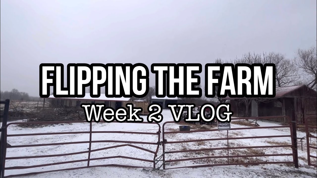 FLIPPING the FARM Week 2 VLOG - YouTube