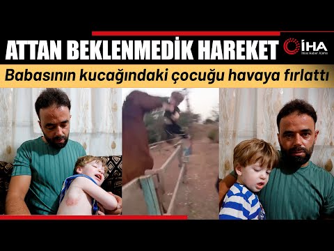 3 Yaşındaki Oğluyla Birlikte Atı Sevmek İsteyen Baba Hayatının Şokunu Yaşadı